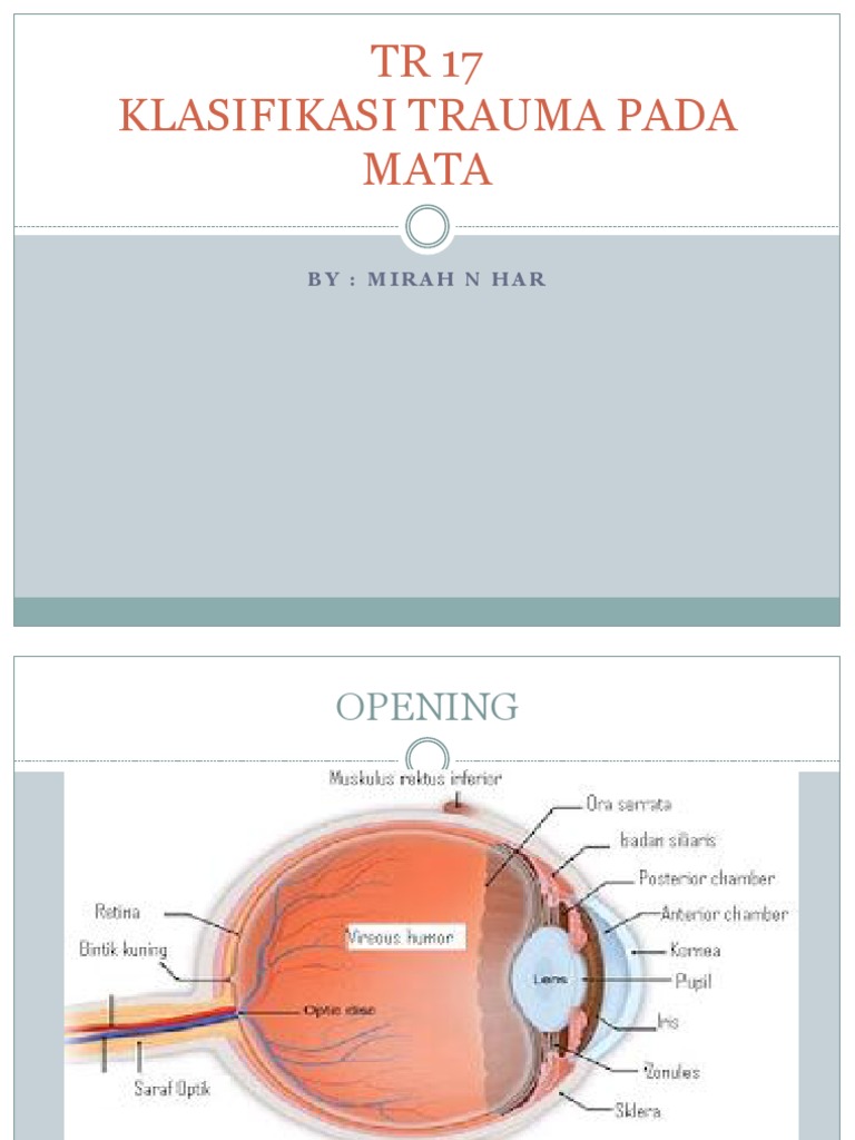 Trauma Mata | PDF