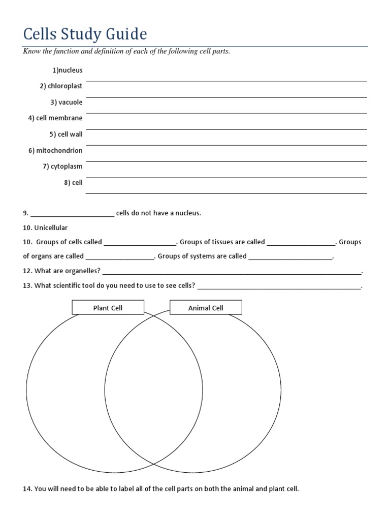 Essential Cell Parts Study Guide | PDF