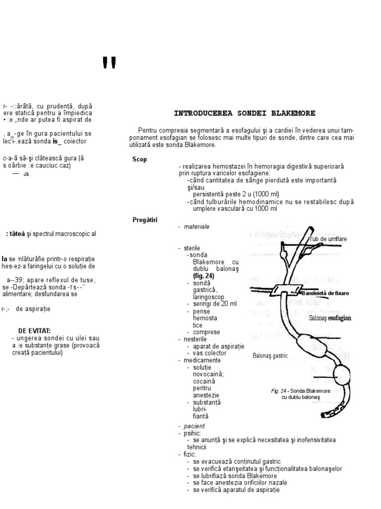 Sonda Blakemore | PDF
