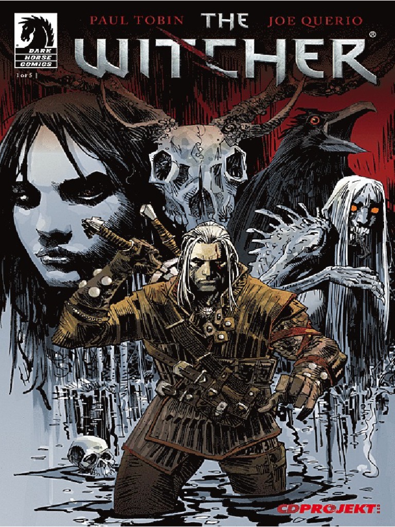 The Witcher 01 | PDF