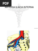 Arteria Iliaca Comun Externa Interna y Sus Ramas Correspondientes | PDF ...