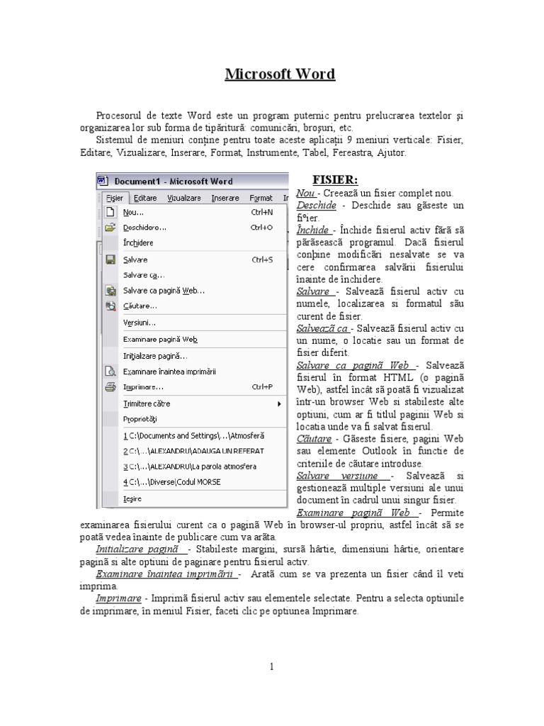 Fisa de Lucru Word | PDF
