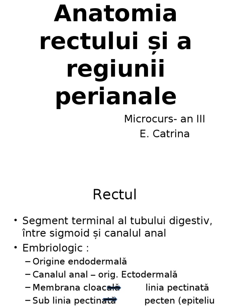 Anatomia Rectului Si A Regiunii Perianale | PDF