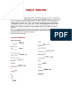 Arabic Insults and Swear Words Guide | PDF | Profanity | Arabic