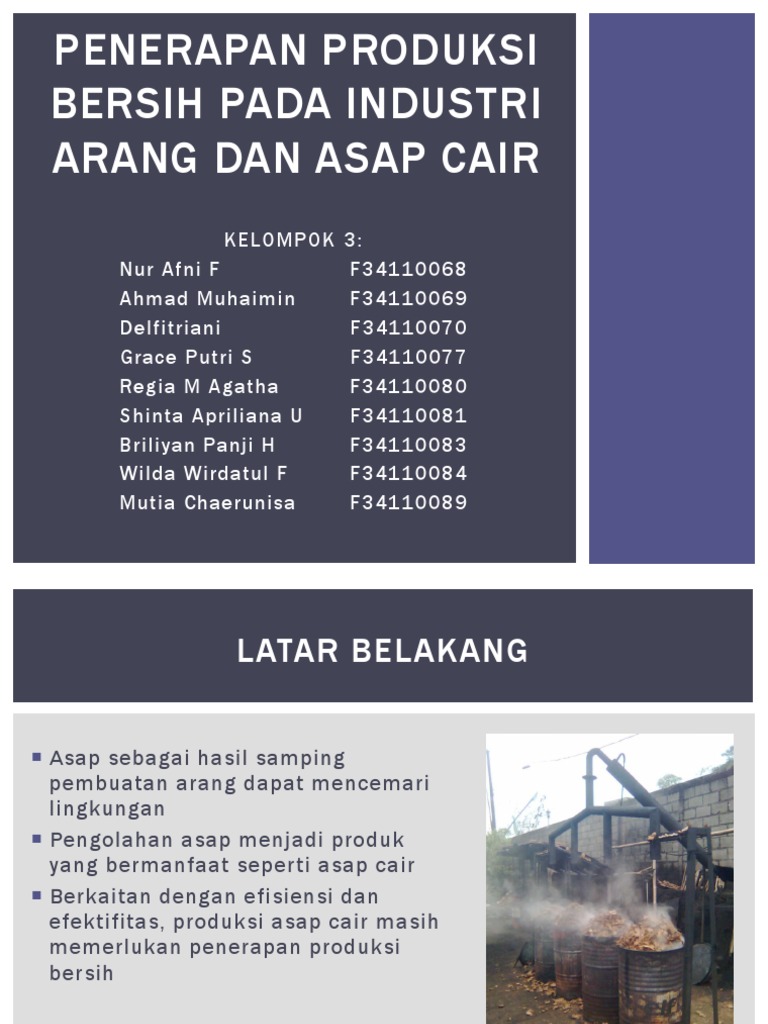 Asap Cair | PDF