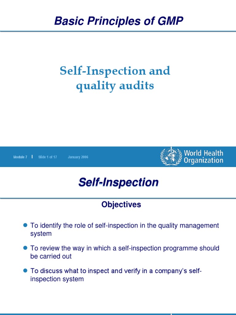 Self Inspections | PDF