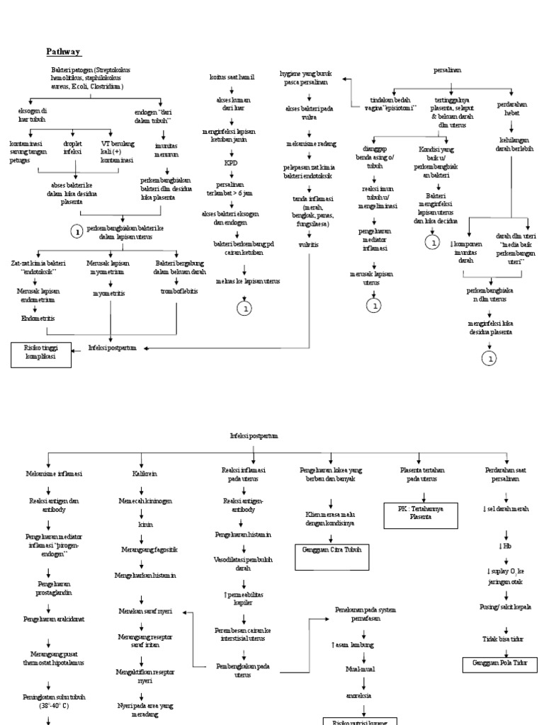Pathway Infeksi Puerperalis | PDF