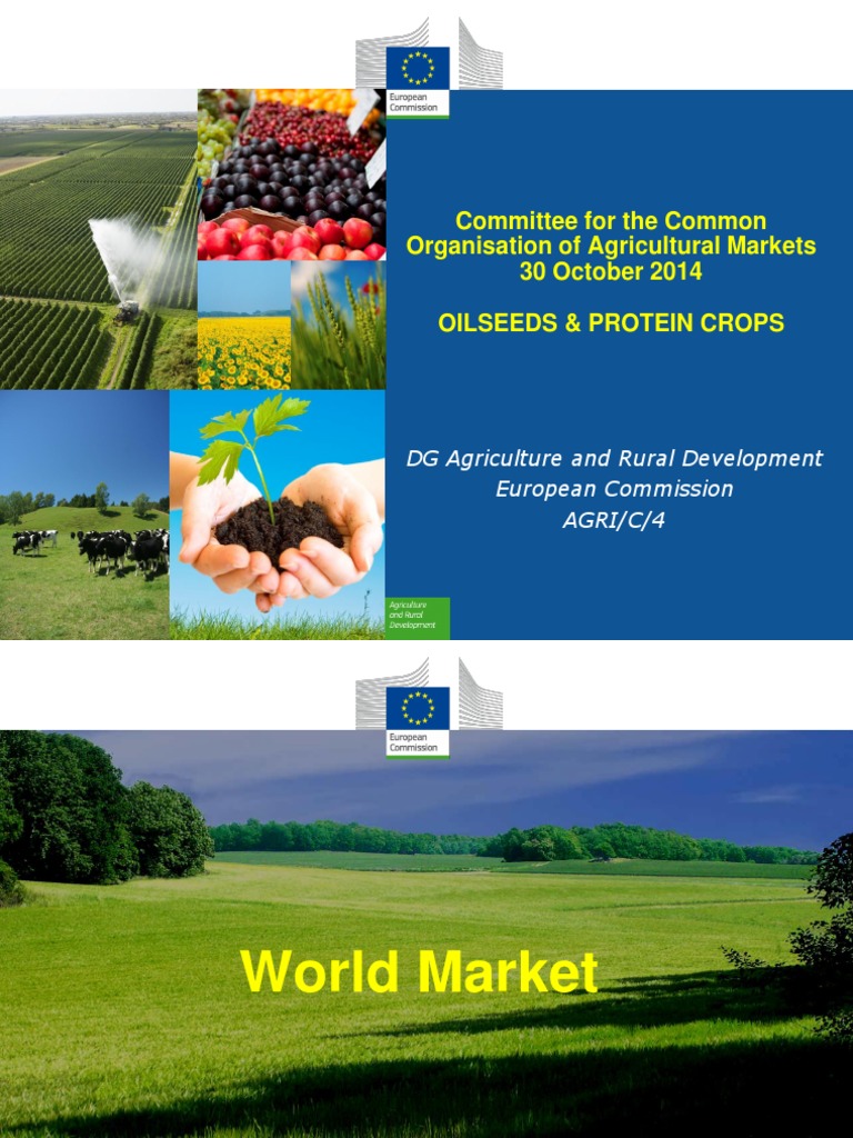 Oilseeds Market Overview 2014 | PDF