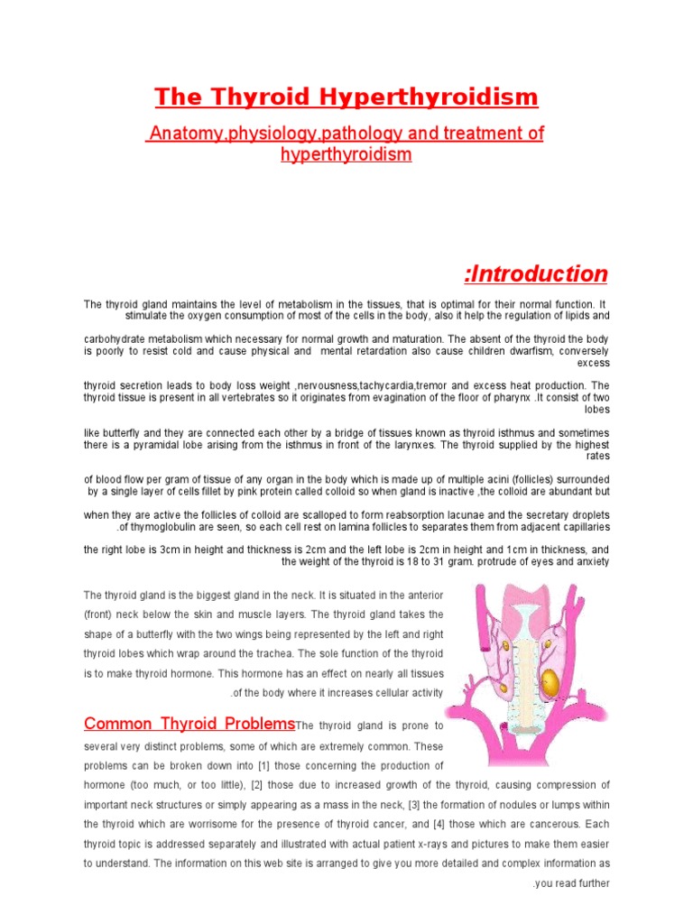 The Thyroid Hyperthyroidism | PDF | Thyroid Stimulating Hormone | Hyperthyroidism