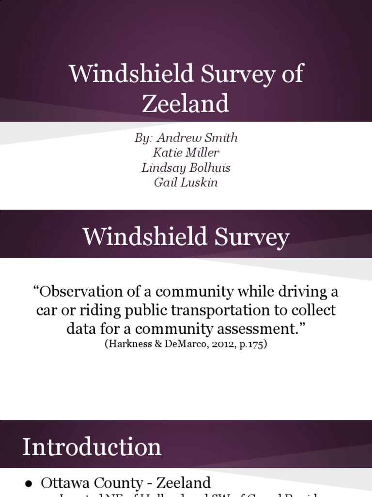 Zeeland Windshield Survey Analysis | PDF | Obesity | Nutrition