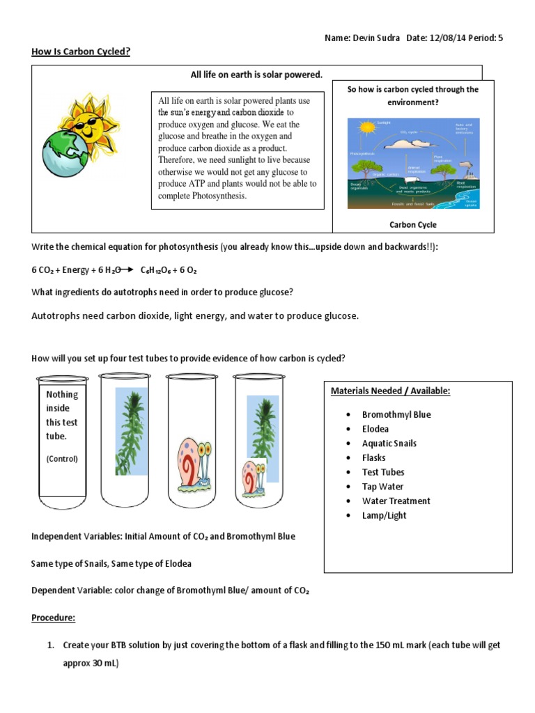 Photosynthesis Lab | PDF | Photosynthesis | Carbon Dioxide