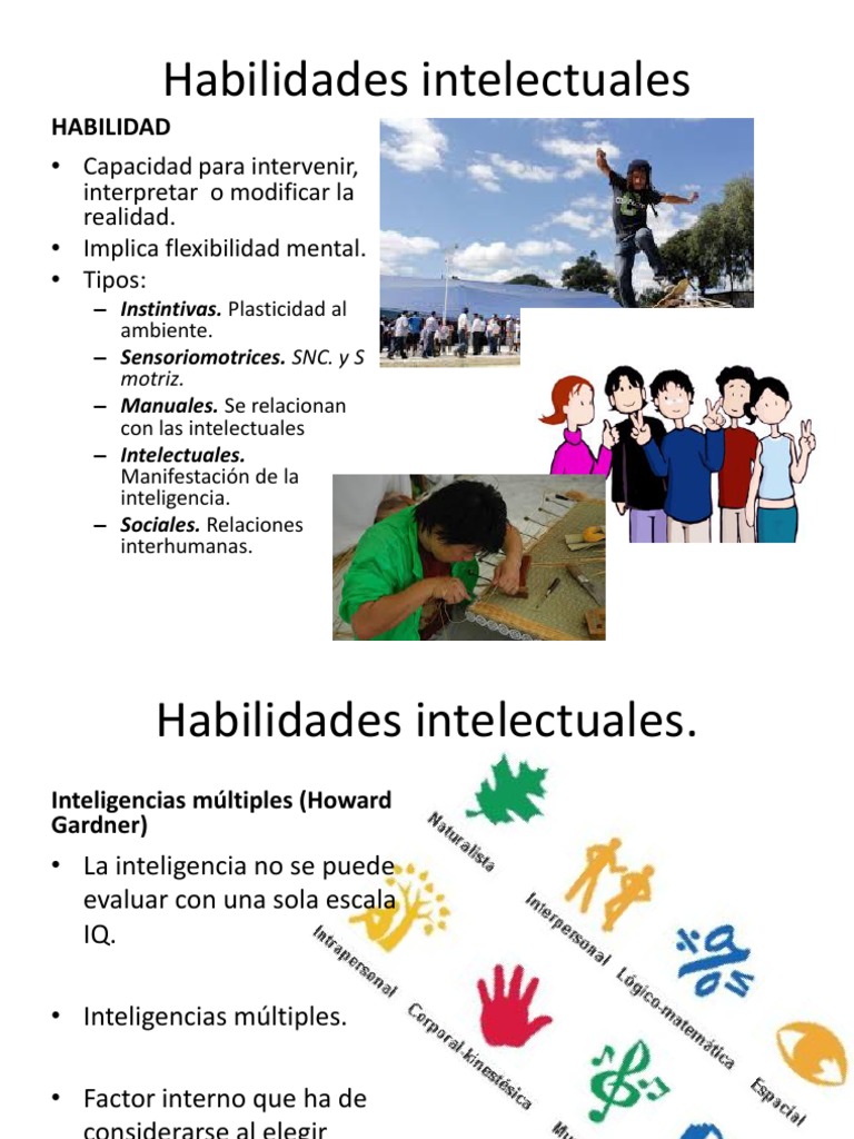 Habilidades Intelectuales | PDF