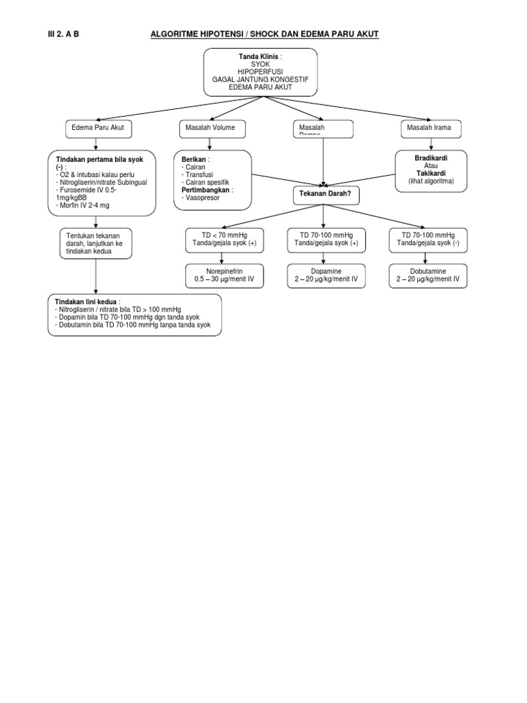 Algoritma Syok ACLS | PDF