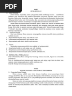 Anatomi Dan Morfologi Ayam Broiler | PDF