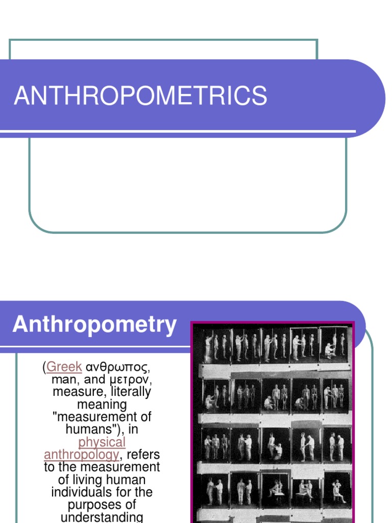 ANTHROPOMETRICS | PDF | Anthropometry | Human Factors And Ergonomics