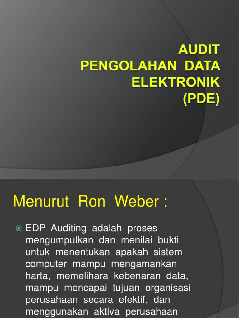 Audit Pengolahan Data Elektronik | PDF