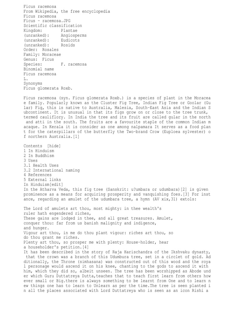 Gular Tree | PDF | Indian Religions | Plants