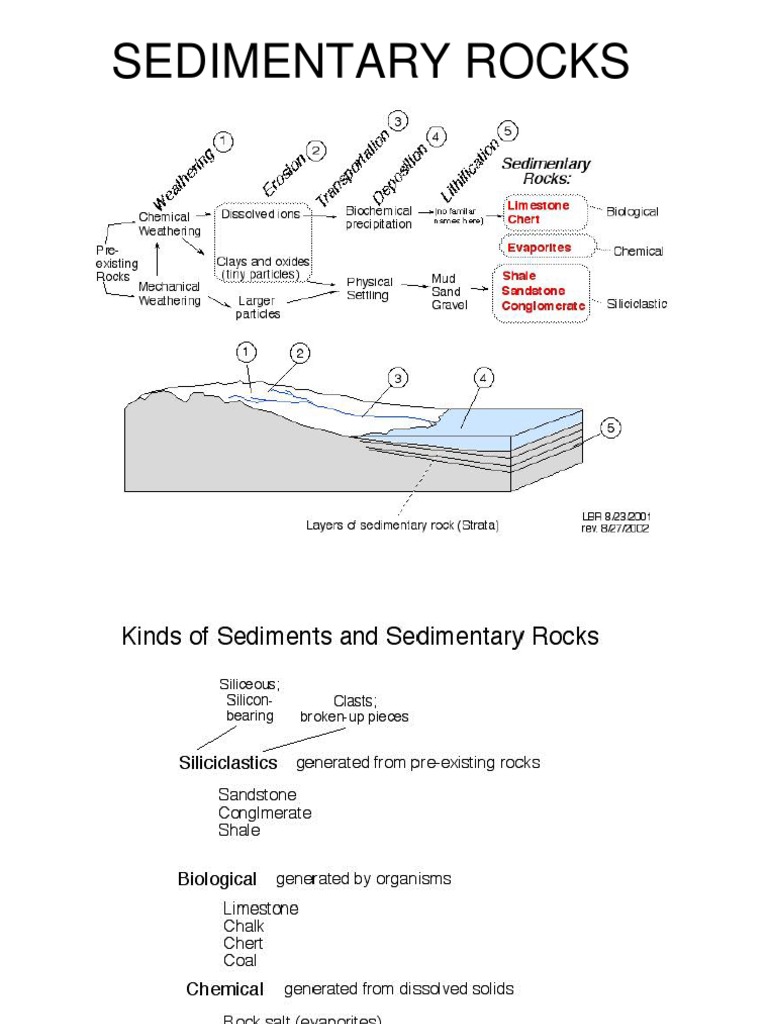 SEDIMENTARY ROCKS.ppt | Sedimentary Rock | Rock (Geology)