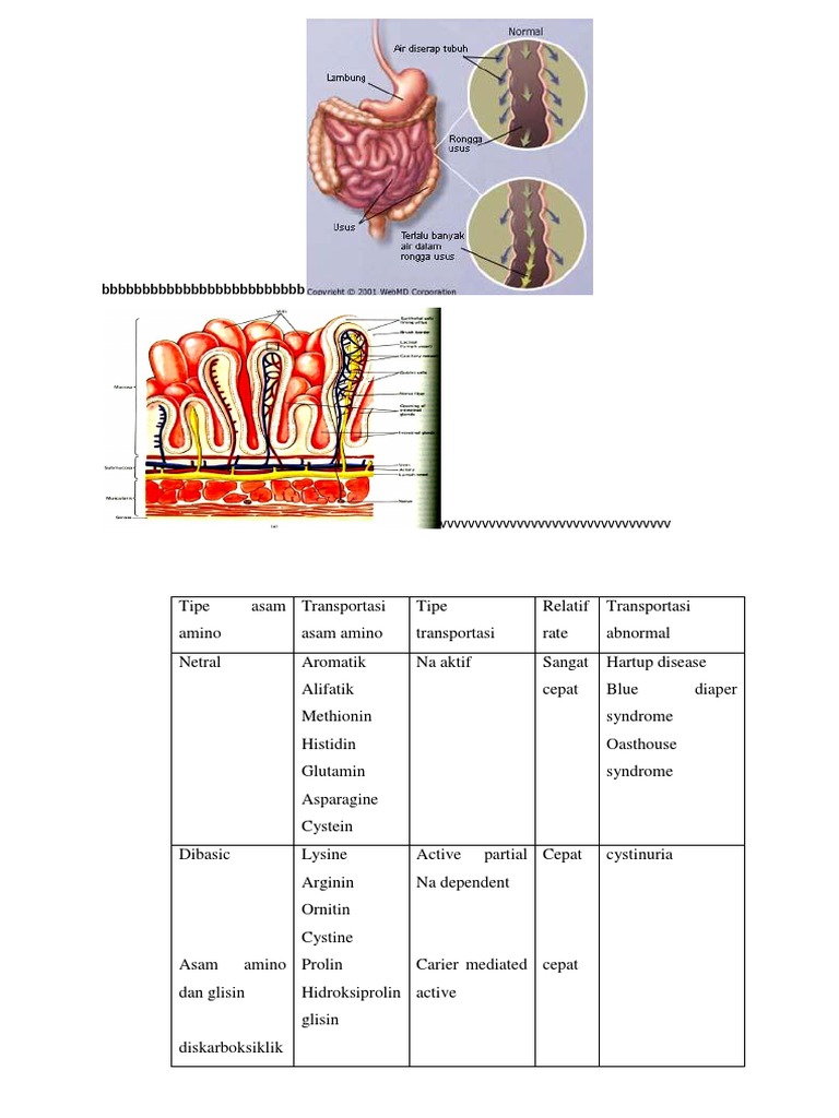 HHHFF | PDF | Wellness | Science & Mathematics