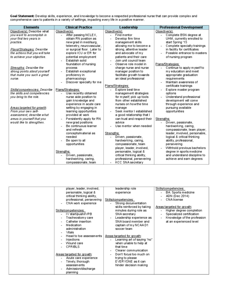 Redo Professional Development Plan | PDF | Nursing | Critical Thinking