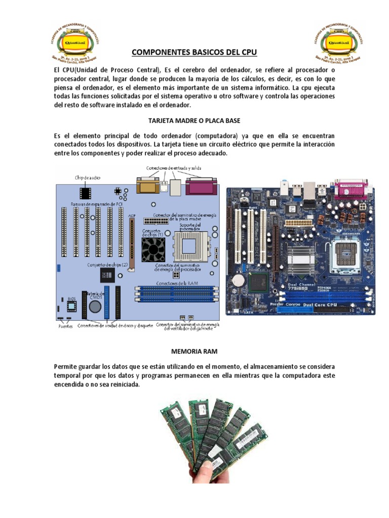 Componentes Basicos Del Cpu | Hardware de la computadora | Unidad ...
