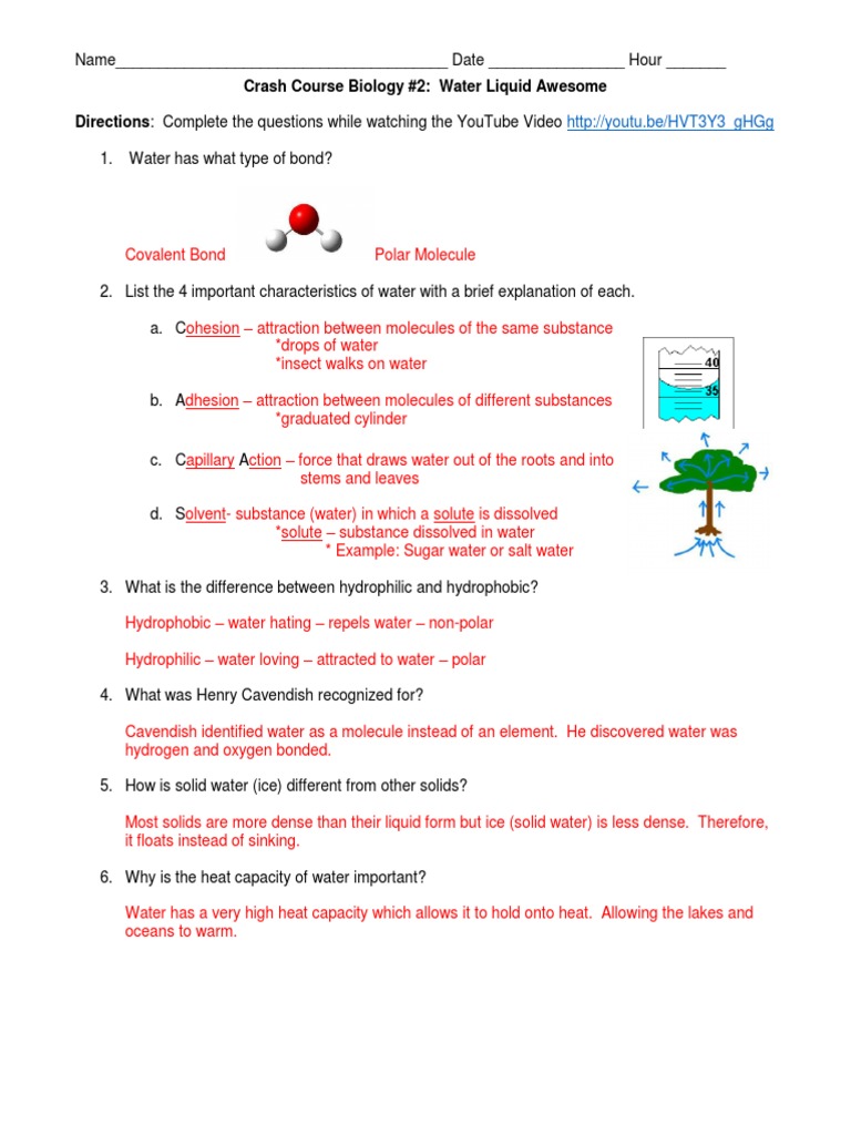 Water Liquid Awesome: Key Concepts | PDF