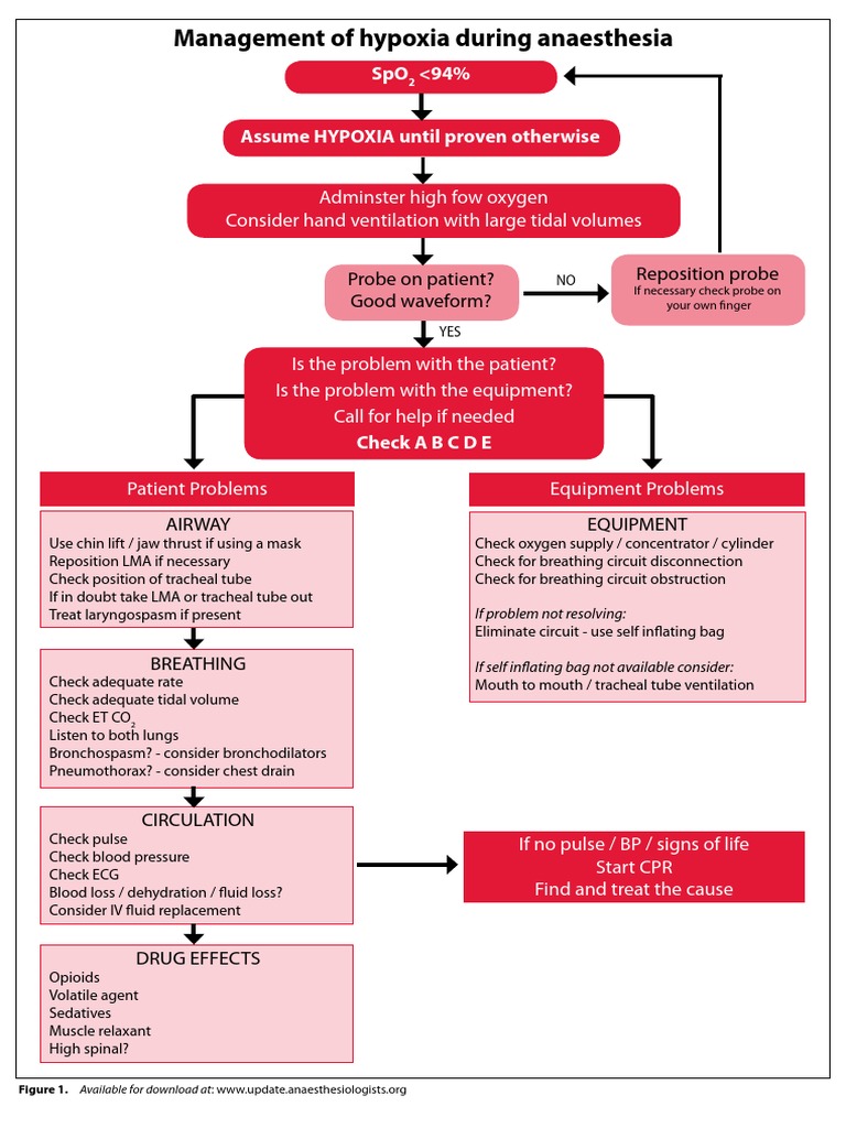 Management of Hypoxia During Anaesthesia | PDF | Hypoxia (Medical ...