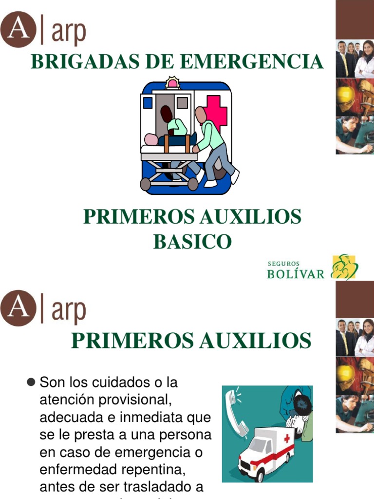 Primeros Auxilios Basico | PDF | Primeros auxilios | Herida