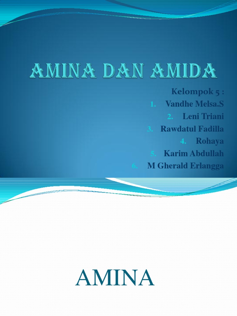 Amida Amina | PDF | Seni