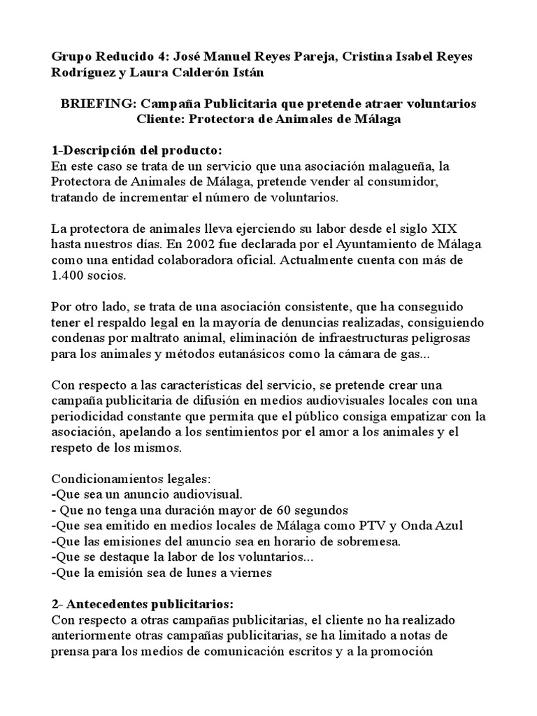 Ejemplo de Un Briefing | PDF | Publicidad | Presupuesto