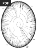 NJUG Publication Volume 1 | PDF | Root | Trees
