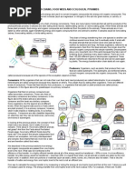 Ecological Succession Foldable Guide | PDF