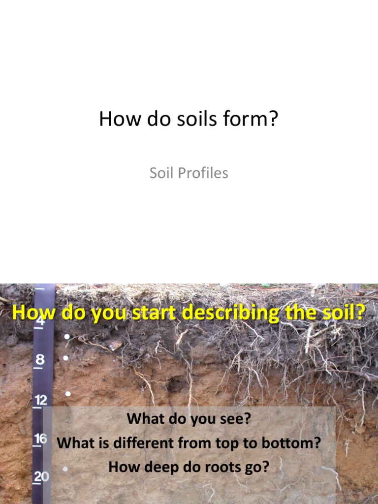 Understanding Soil Horizons: A Guide to Identifying and Describing Soil ...