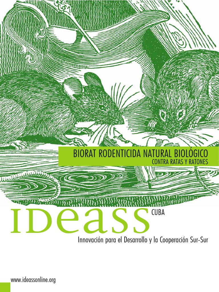 Biorat | PDF | Plaga (organismo) | Rata