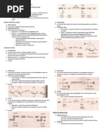 Bio 101 Sample Lab Report | PDF | Active Site | Enzyme