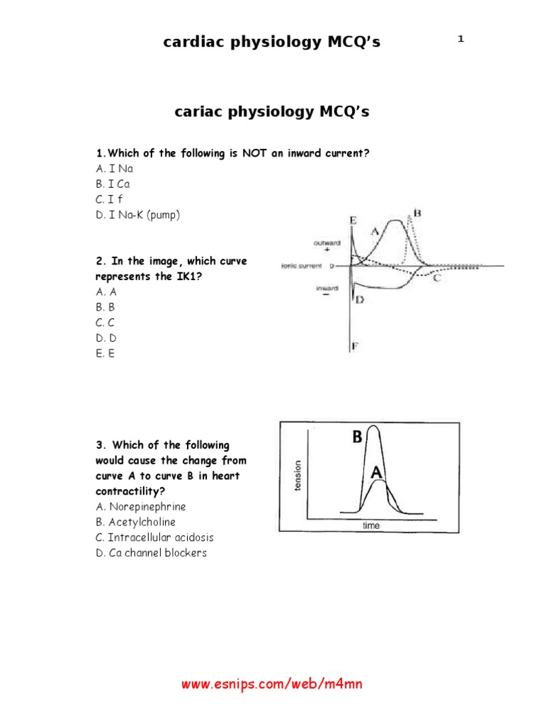Cardiac Physiology Mcqs Pdf Heart Valve Action Potential