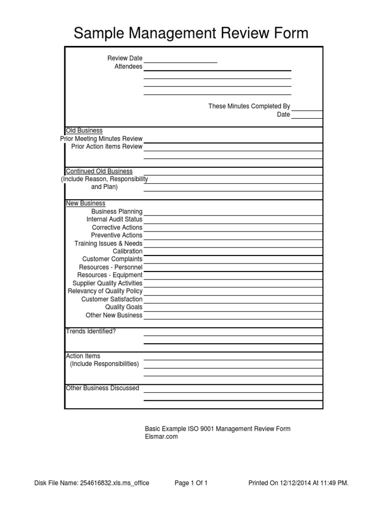Management Review Form Simple Example | PDF