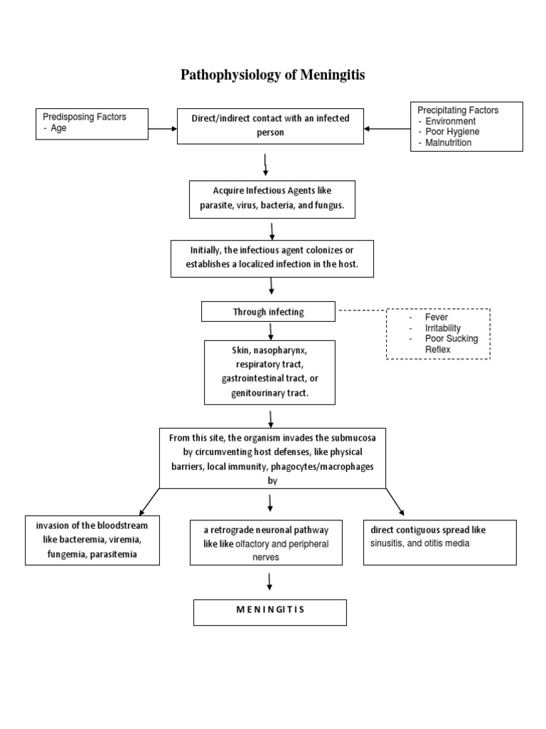 1.Pathophysiology of Meningitis