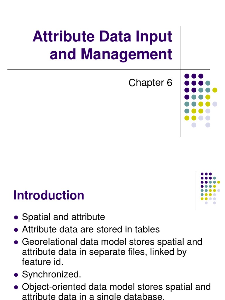6-Attribute Data Input and Management | PDF | Relational Database | Relational Model