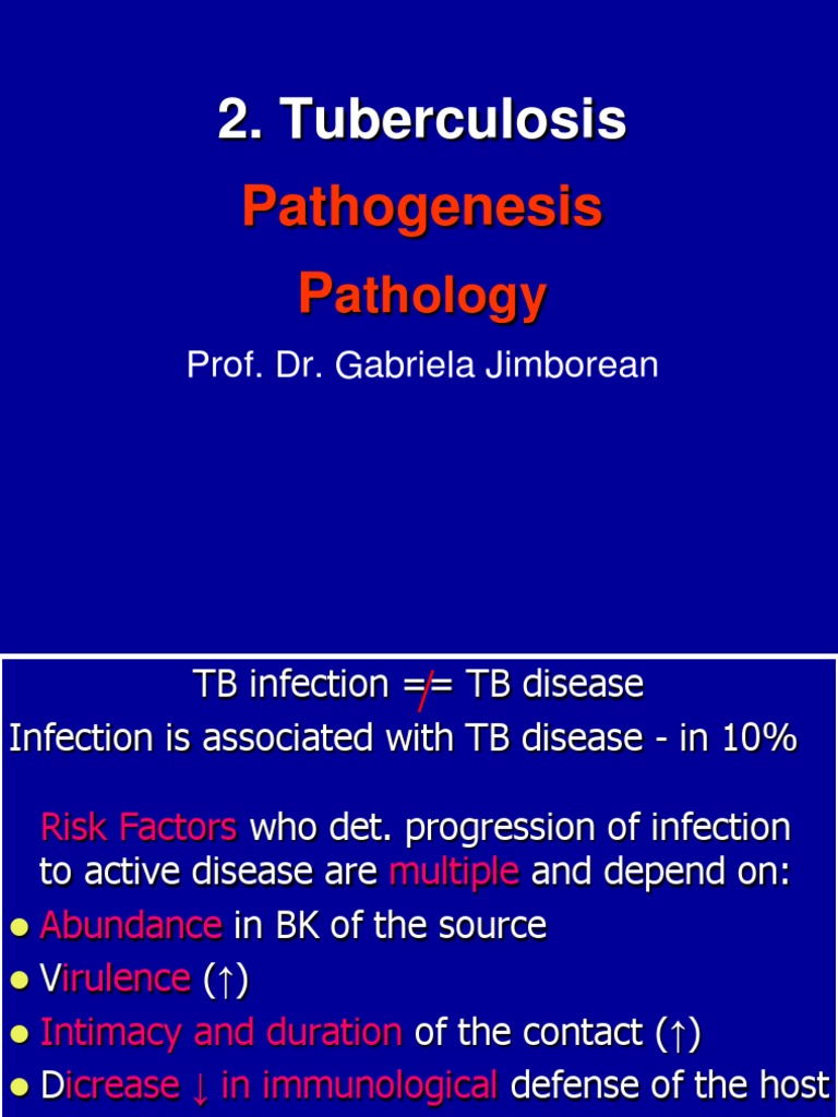 2. Tb Pathology English | Tuberculosis | Immune System
