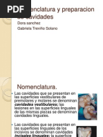 2.3 Tiempos de La Exodoncia Con Forceps y Con Elevadores | PDF | Ramas ...