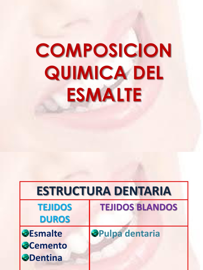 composición química del esmalte | Esmalte de dientes | Diente humano