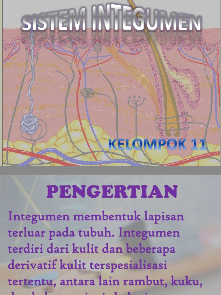 Anfis PPT Sistem Integumen | PDF