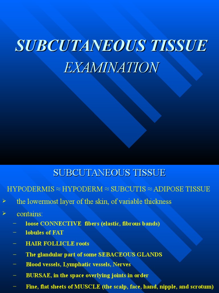 An In-Depth Examination of Subcutaneous Tissue: Pathologies, Assessment ...