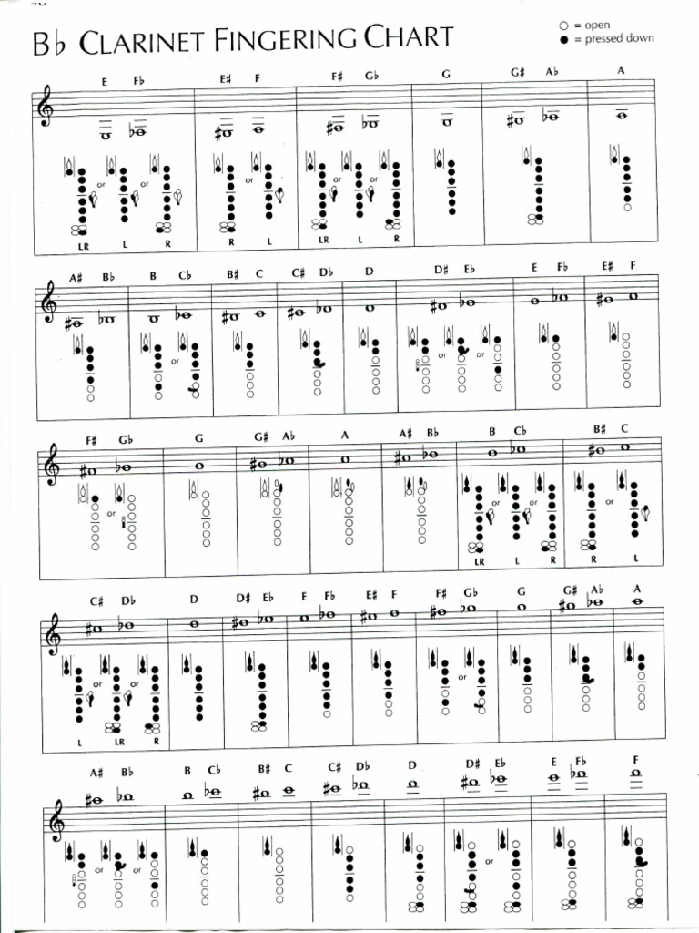 BB Clarinet Fingering Chart | PDF | Musical Instruments | Aerophones