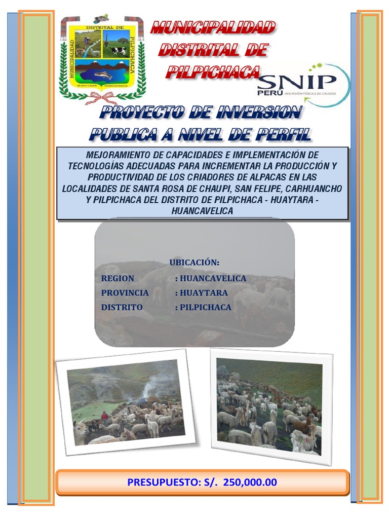 Pip Final Alpacas | PDF | Mercado (economía) | Perú