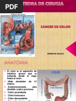 Sigmoidectomía Laparoscópica: Técnica y Equipo | PDF | Intestino grueso ...