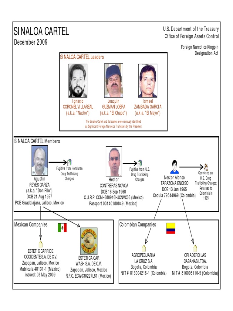 Sinaloa Cartel Leadership Overview | PDF | Sinaloa Cartel | Organized ...