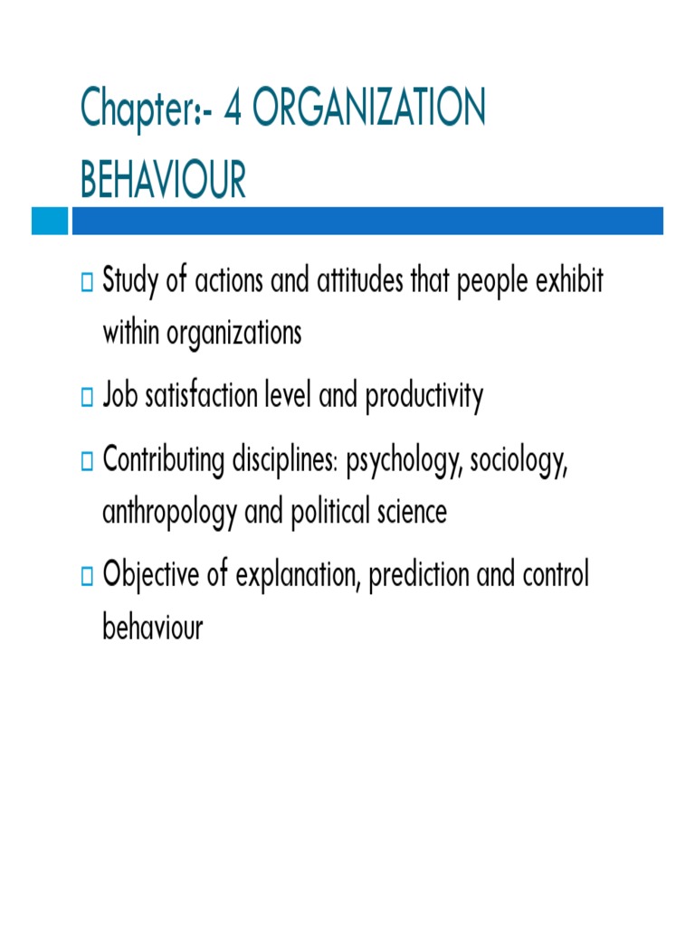 Chapter 4 Organizational Behavior | PDF | Organizational Behavior | Human Resource Management