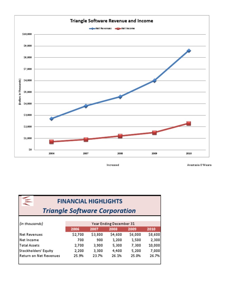 Triangle Software Financial Overview 2006-2010 | PDF